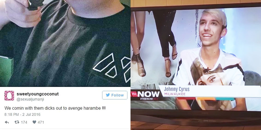 Harambe tweeters and Kylie Jenner superfans: Catching up with two ...