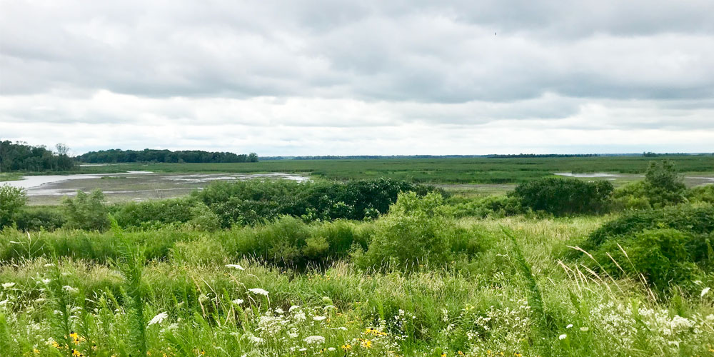 No dull moments: Exploring the two sides of the Horicon Marsh