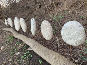 What’s up with this weird rock/log thing in the woods along Lincoln ...