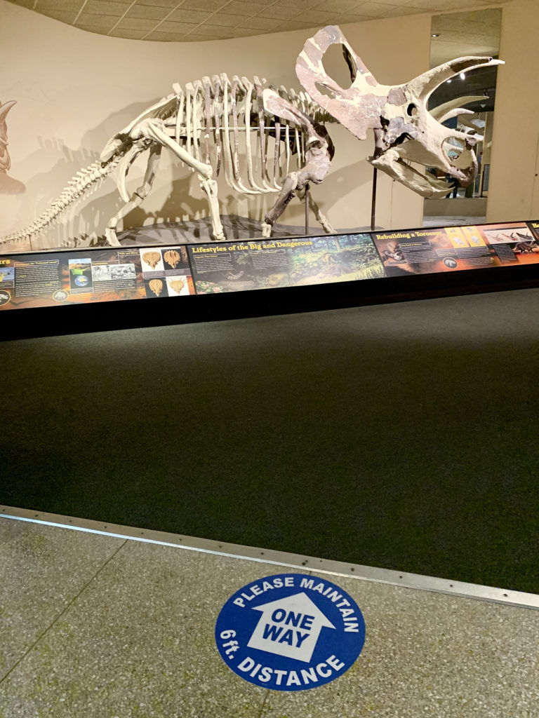 50 photos of the reopened-but-still-eventually-moving Milwaukee Public ...