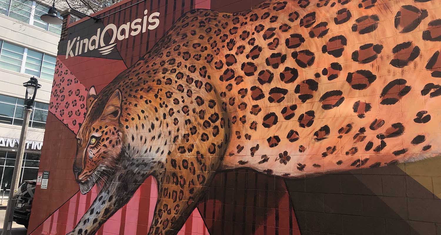 Kind Oasis is hosting a “Three-Year Anniversary Festival” on June 17