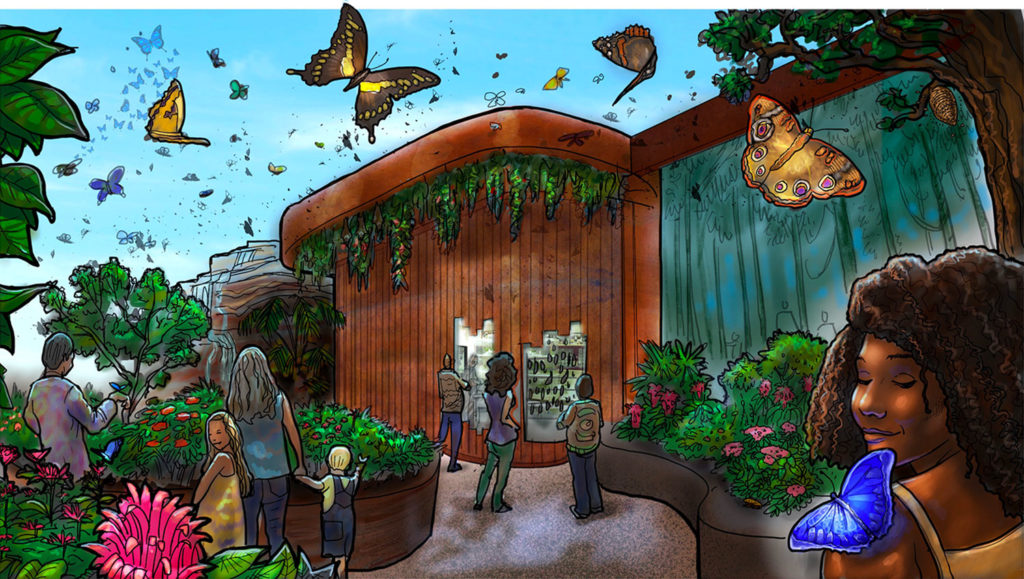 Milwaukee Public Museum previews future rainforest, butterfly vivarium ...