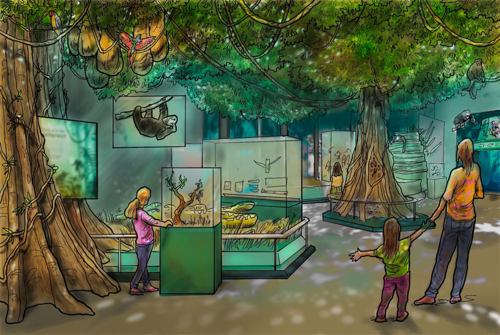 Milwaukee Public Museum previews future rainforest, butterfly vivarium ...
