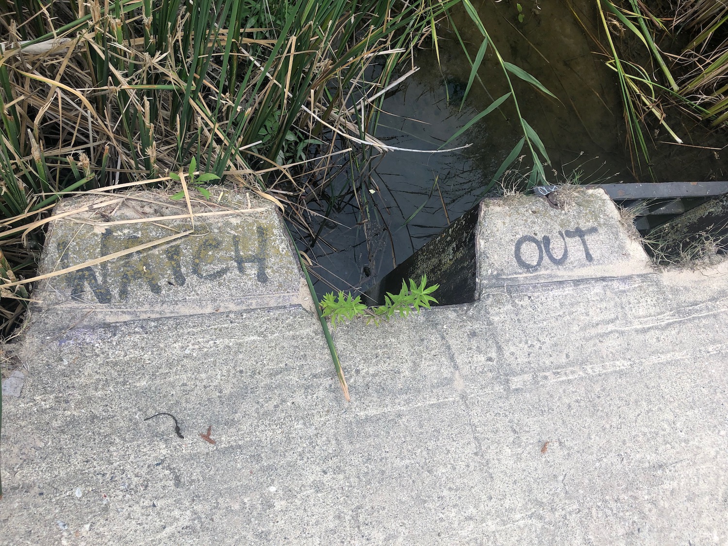 South Metro Pier is a strange, secluded, serene lakeside trail you ...