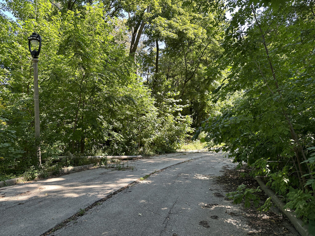 19 photos of the closed, overgrown Ravine Road in Lake Park (before ...