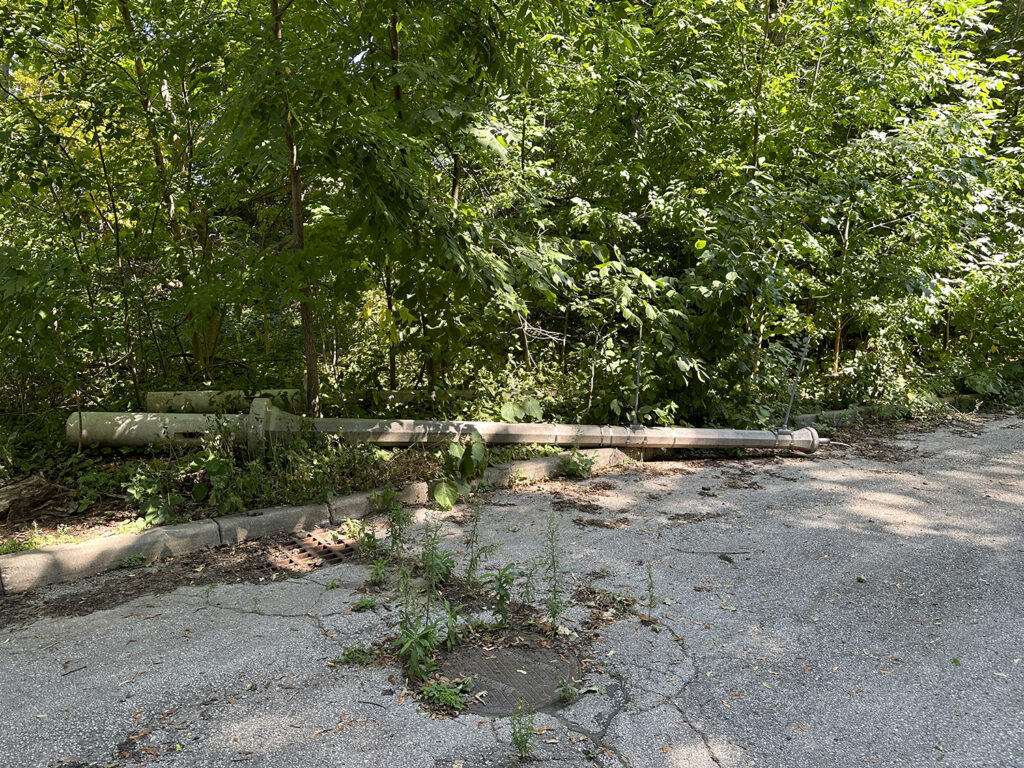 19 photos of the closed, overgrown Ravine Road in Lake Park (before ...