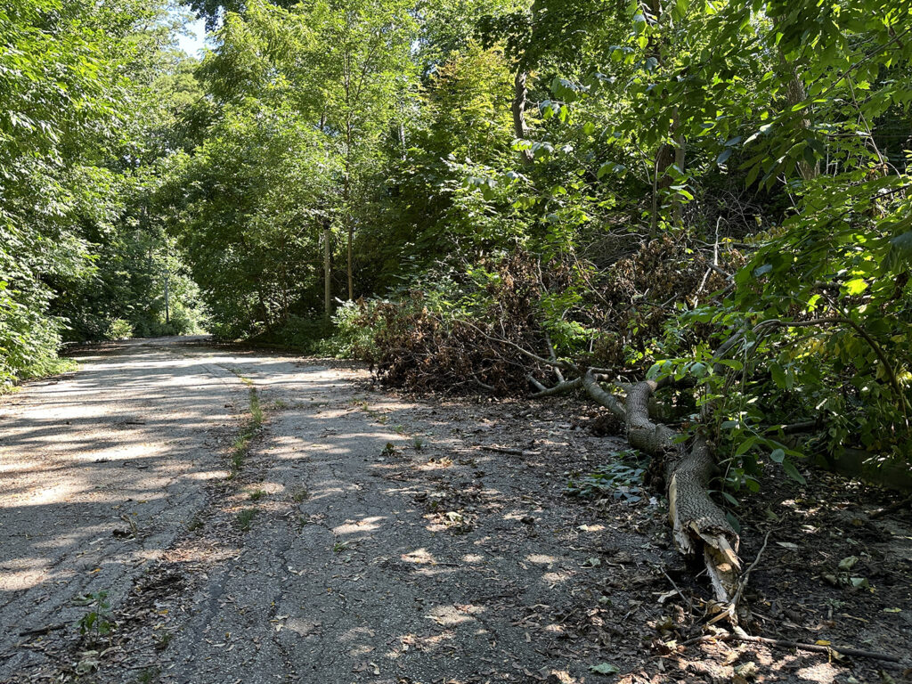 19 photos of the closed, overgrown Ravine Road in Lake Park (before ...