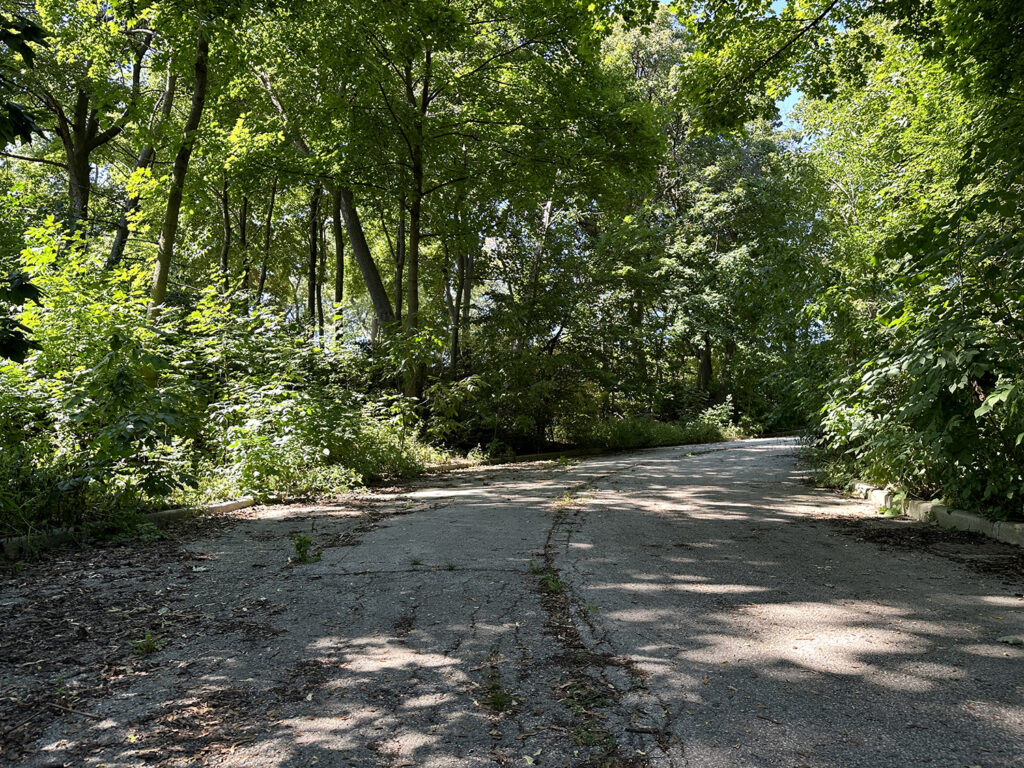 19 photos of the closed, overgrown Ravine Road in Lake Park (before ...