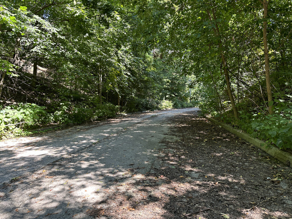 19 photos of the closed, overgrown Ravine Road in Lake Park (before ...