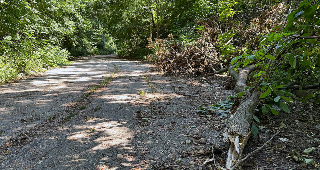 19 photos of the closed, overgrown Ravine Road in Lake Park (before ...