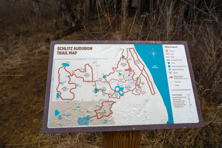 Exploring the Schlitz Audubon Nature Center in the Village of Bayside