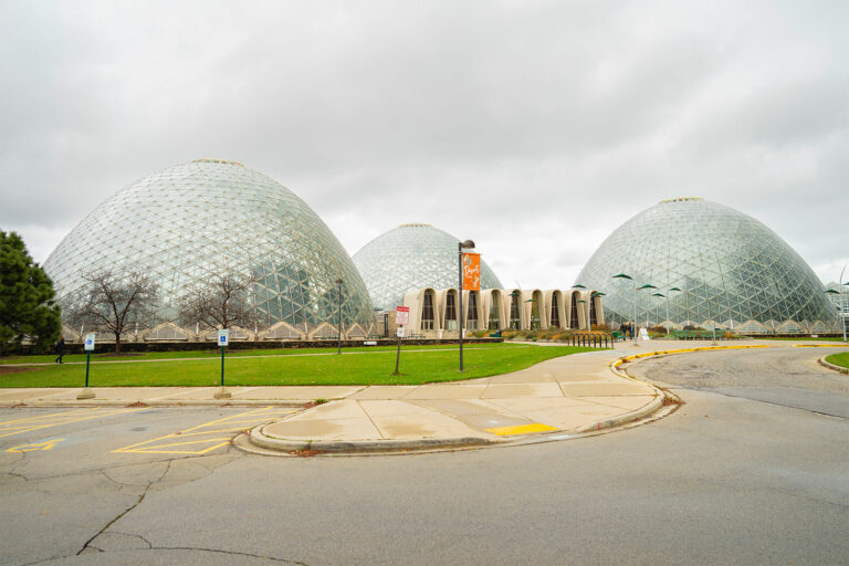 Bird City, Milwaukee County: Milwaukee birding by the month (pt. 2) and ...