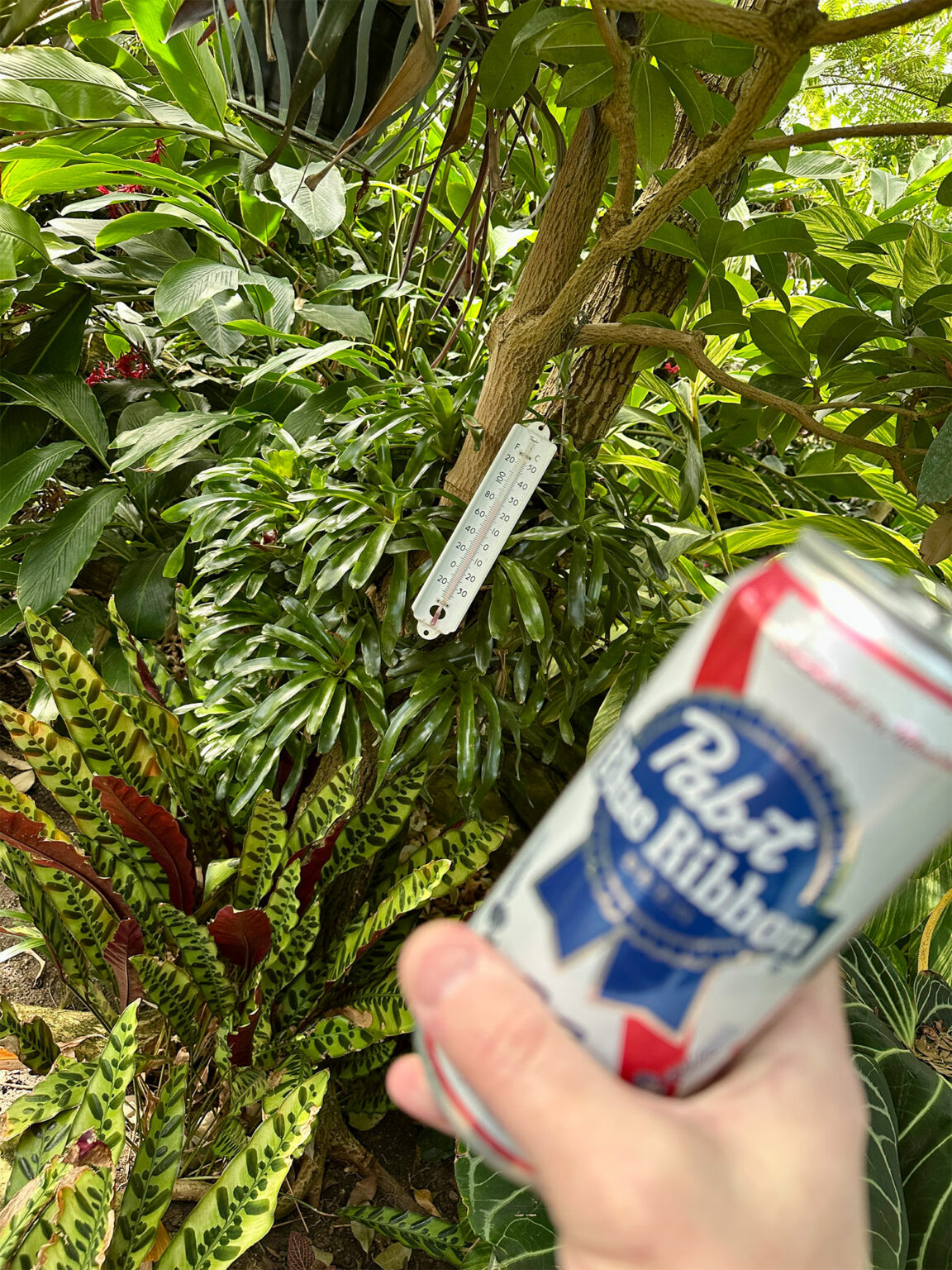 Drinking a beer in the Domes: The Milwaukee Record Review | Milwaukee ...