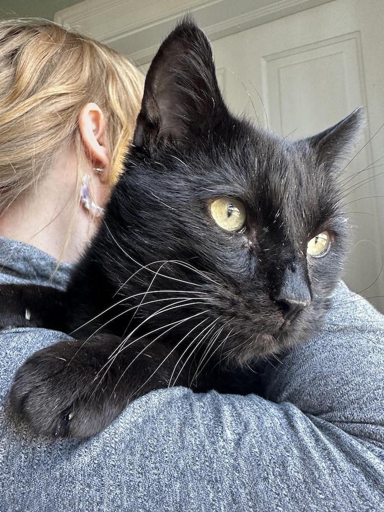 Milwaukee Record Cat Of The Week: Peepaw | Milwaukee Record